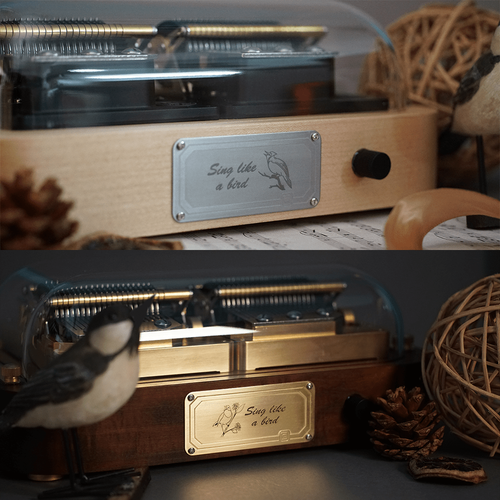 Turning My Collection of Paper-Strip Music Box Melodies into My Muro ...